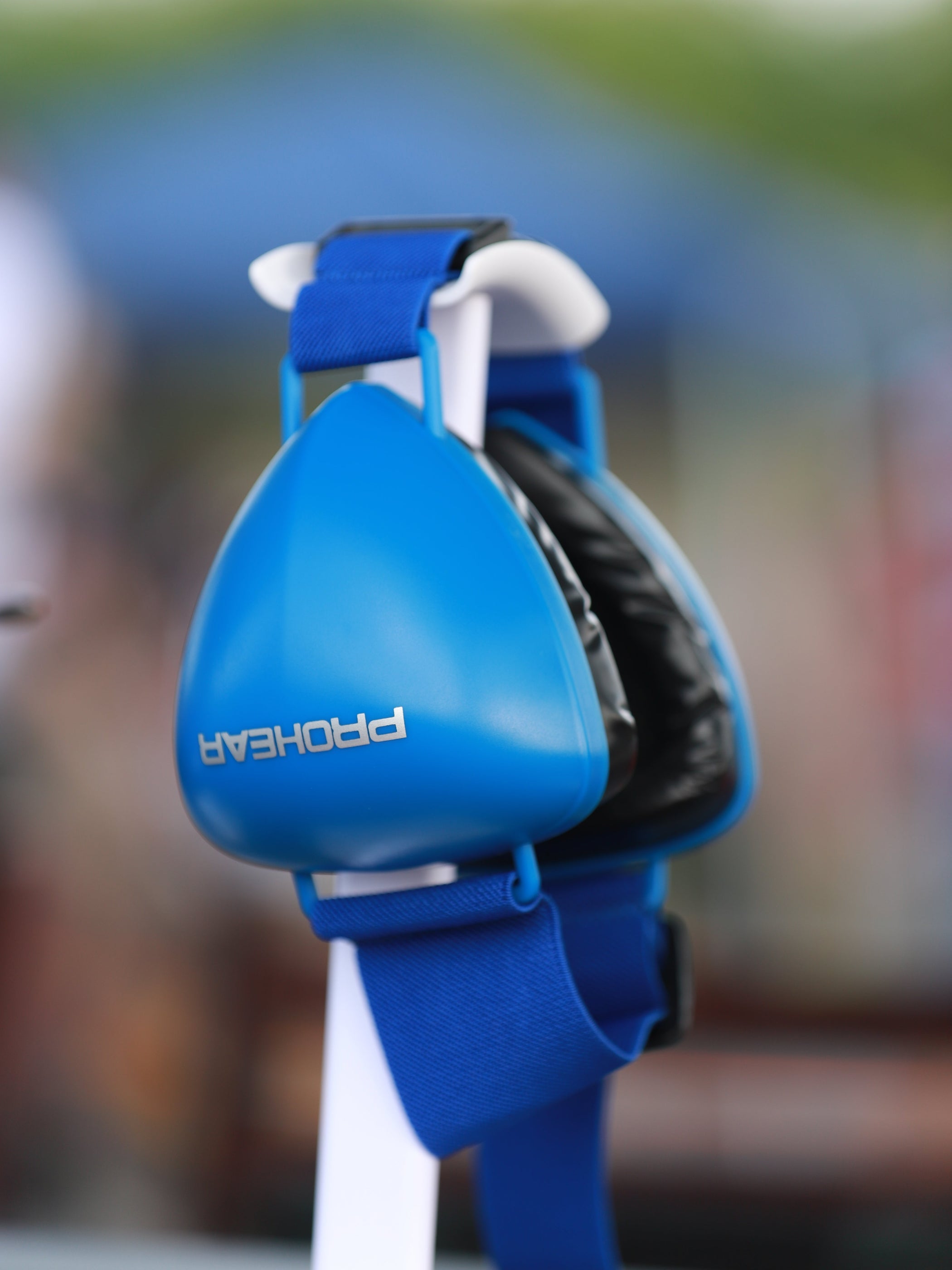 Fireworks, Thunder, & City Noise: Is Your Dog's Hearing at Risk? – Prohear